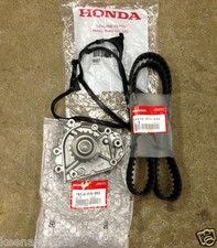 17521-81p00-000 Suzuki Belt Water Pump Genuine OEM Part for sale online ...