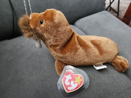 TY Beanie Baby - Paul the Walrus - 1999 With Tags 8" | eBay