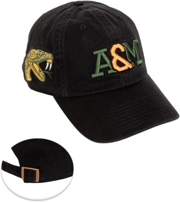 Desert Cactus Florida A&M University Baseball Hat FAMU Rattlers Brimmed ...