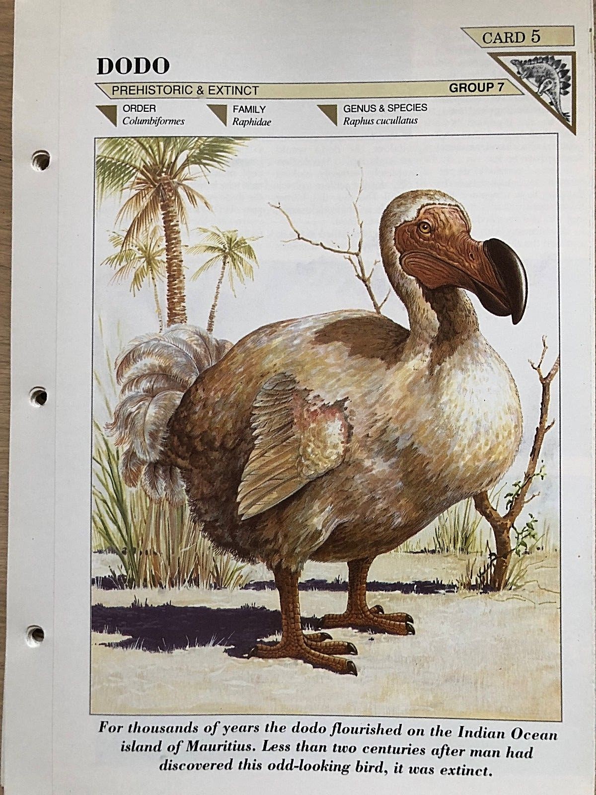 Wildlife-Fact-File-Extinct Animals-Wild Animals-School-Nature-From 1 to ...