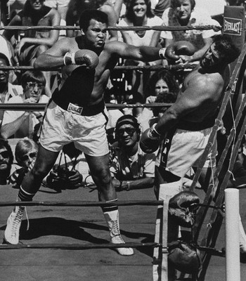 LYLE ALZADO vs MUHAMMAD ALI 8X10 PHOTO BOXING PICTURE | eBay