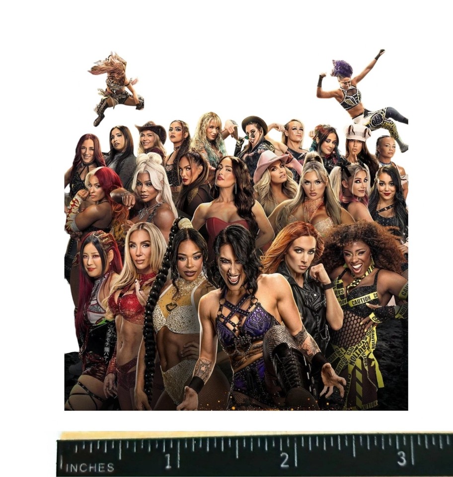 WWE Womens Evolution Wrestling Water Resistant Sticker WWF WCW AEW | eBay