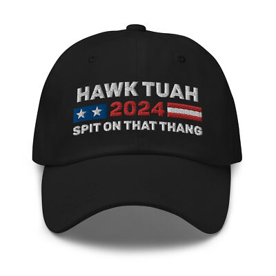 Hawk Tuah 2024 Spit On That Thang Embroidered Dad hat | eBay