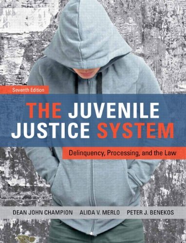The Juvenile Justice System : Delinquency, Processing, and the Law by ...