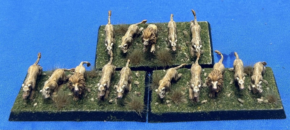 10mm Warmaster African Themed Army Eureka Miniatures | eBay