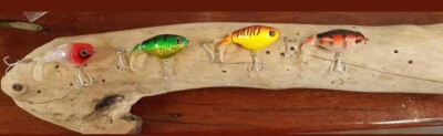 5 Top Water Fishing Lures Hard Body Bass & Murray Cod | eBay Australia