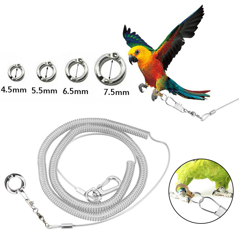 Macaw Birds For Leashes