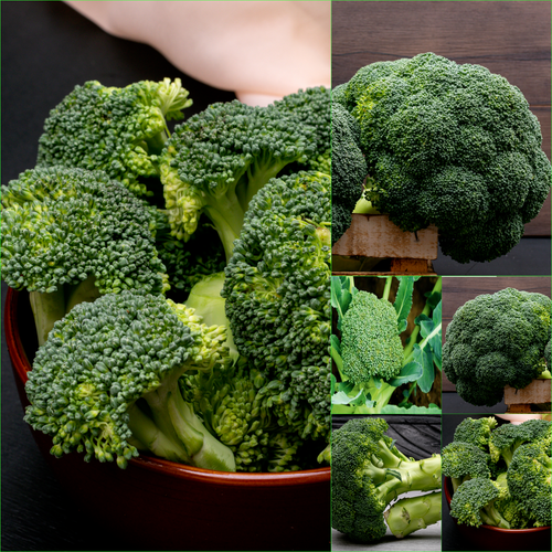 BROCCOLI Green Dwarf F1 15 SEEDS GROW Bulk VEGETABLES | eBay Australia