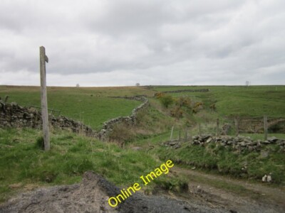Photo 6x4 A path at Allerton Riggs Stanhope/NY9939 c2012 | eBay UK