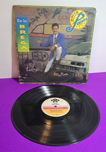 David Pabon En La Brega LP Vinyl 1992 Rodven | eBay