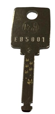 5.58012.001/0000, RAFI, Switch Hardware Key | eBay