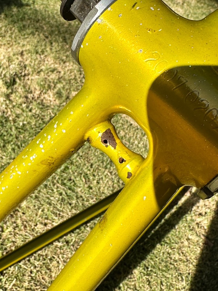 NJS APPROVED Stamped Fixed Gear PELOTON Track Bike Steel Frame Set 52cm ...