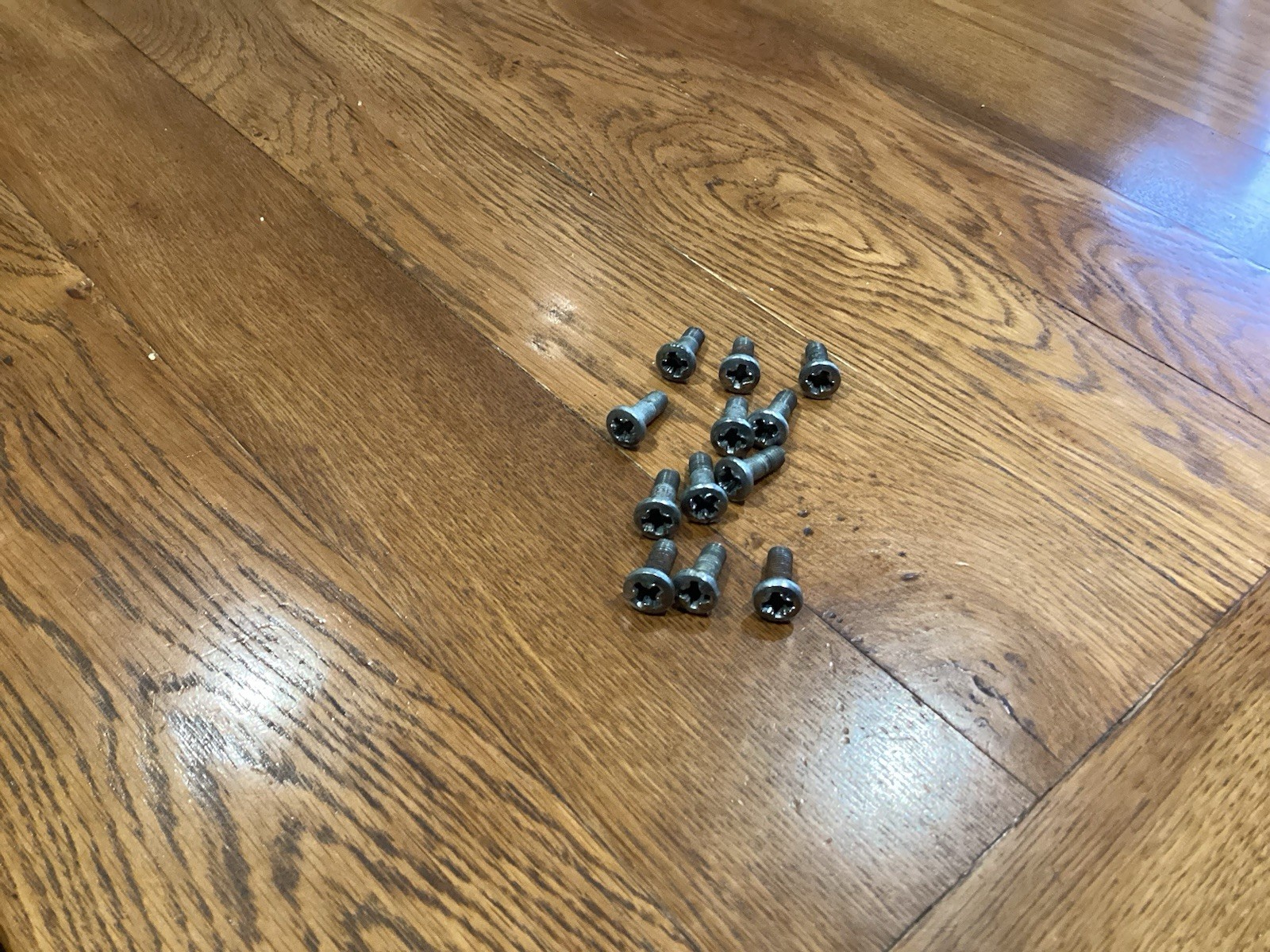 MGB Door Hinge To Door Screws Set Of 12 Used but Very Useable | eBay UK