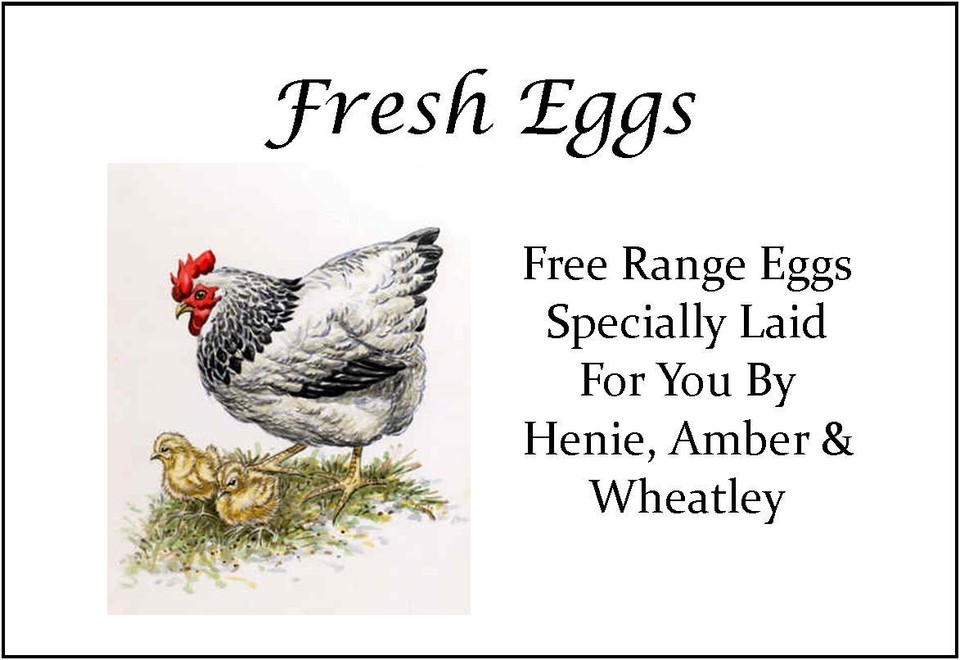 LARGE PERSONALISED CHICKEN HEN EGG BOX LABELS 8 Per Sheet | eBay UK