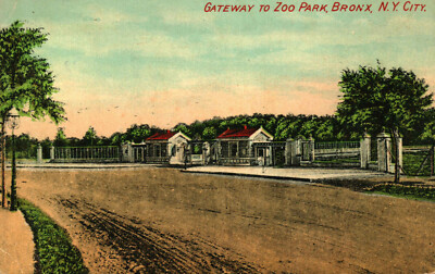 Postcard Bronx Zoo Gateway To Zoo Park Bronx NY New York | eBay