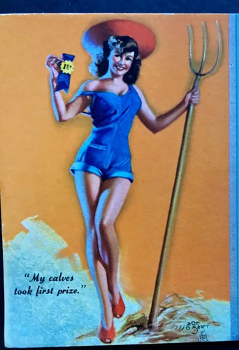 1946 LEGGY BRUNETTE FARMER CUTOFFS ZOE MOZERT WINTERPORT ME LAWSON ...