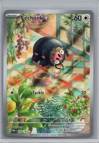 Pokémon Lechonk IR 209/197 Illustration Rare Obsidian Flames Art Holo ...
