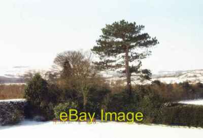 Photo 6x4 Corner of the garden, Helme Park Hall Hotel Tow Law This ...