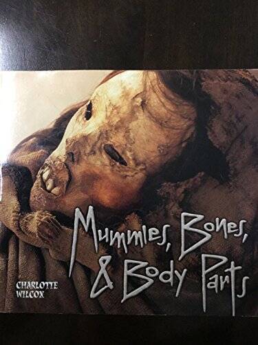 Mummies, Bones Body Parts - Paperback By Charlotte Wilcox - VERY GOOD ...