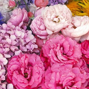 Dony Gift Shop | eBay Stores