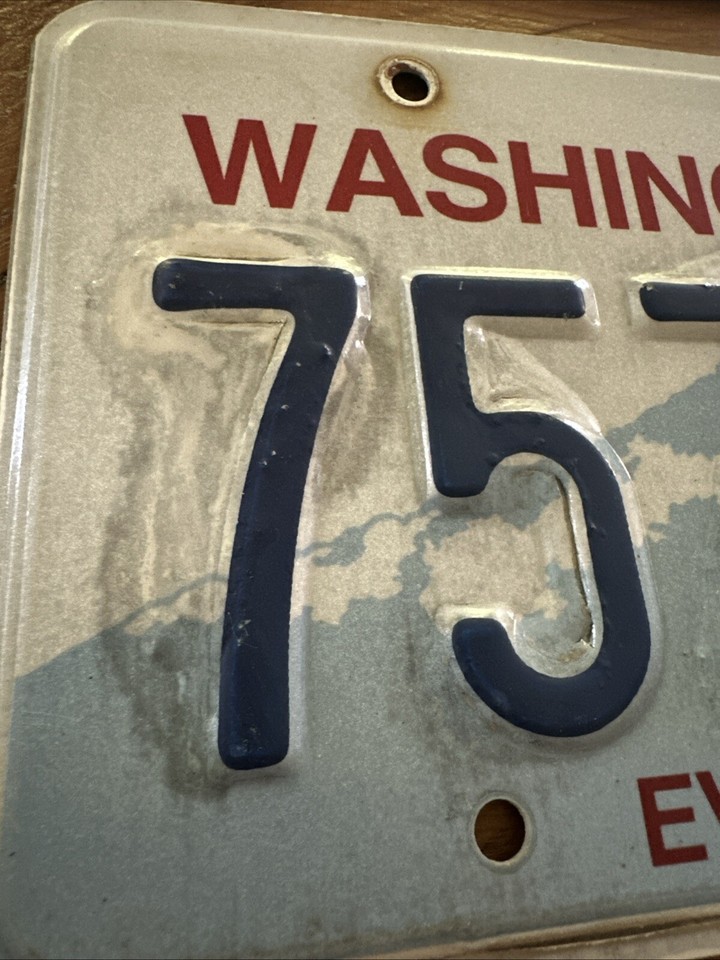 WASHINGTON STATE 2013 License Plate Set 757-ZYN EVERGREEN STATE | eBay