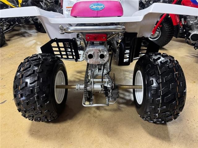 1992 Yamaha Banshee Miami Vice | eBay