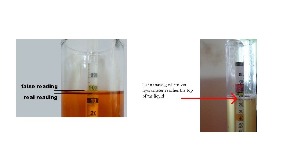 Triple Scale Hydrometer Gravity Balling Beer Wine + Test Jar ...