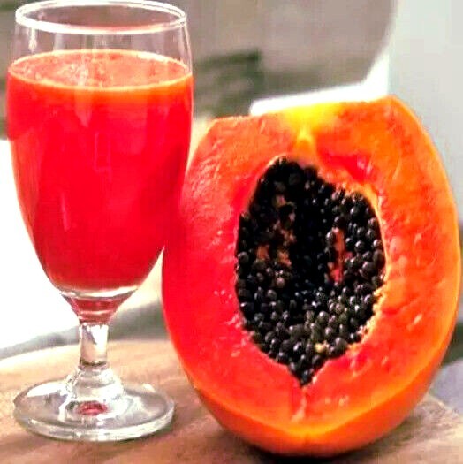 20 Caribbean "Red Lady" Carica Papaya Fruit Tree Seeds LARGE MELONS ...