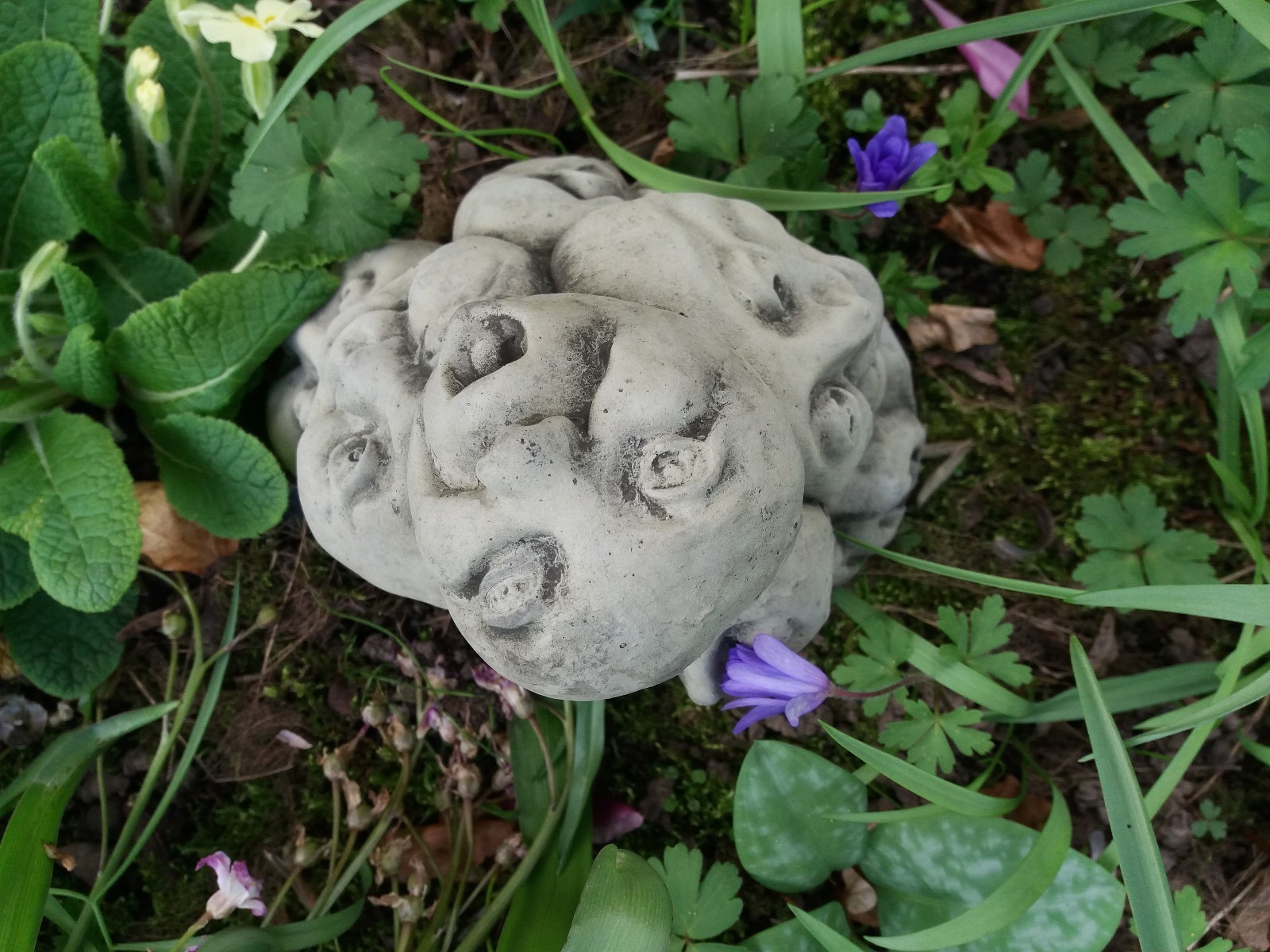 🇬🇧 STONE GARDEN COMEDY HEAD PILE UP FUNNY PEBBLE HEADS ROCK FACES ...