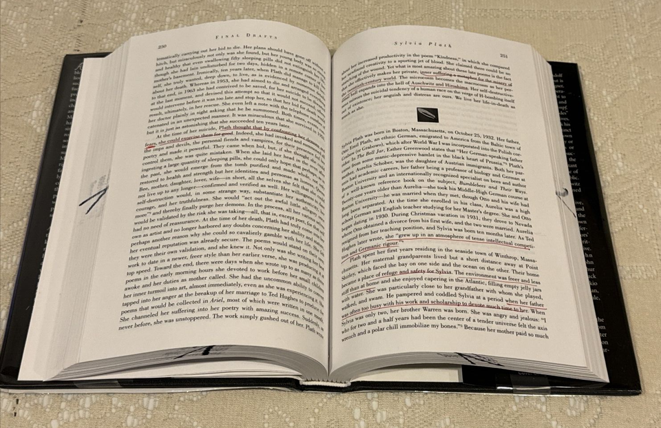 Final Drafts : Suicides of World-Famous Authors by Mark Seinfelt, 1999 ...