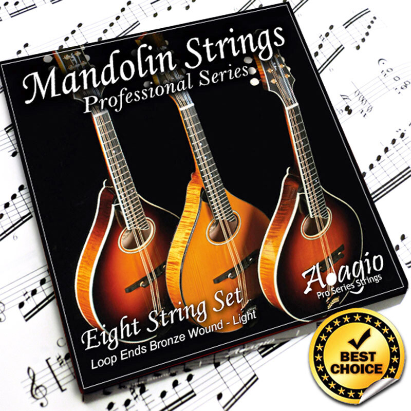 2 PACKS Mandolin Strings With Loop Ends - Light Regular Gauge Long ...
