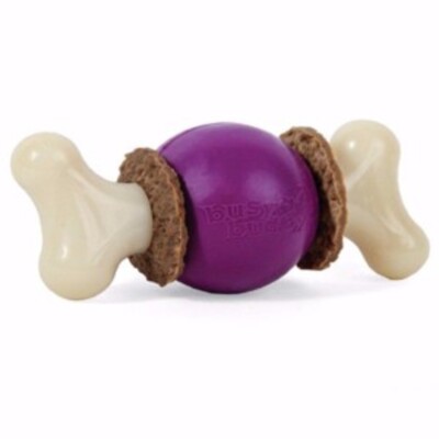 Petsafe Busy Buddy Bouncy Bone. Medium Size Dog. New With Tags. | eBay