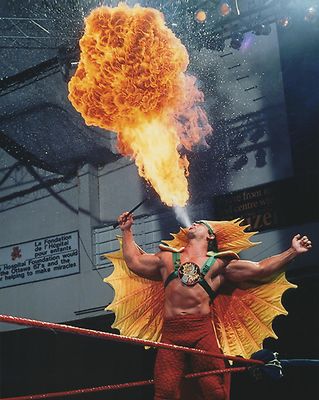 Ricky The Dragon 8x10 Glossy WWF Pro Wrestling Photo WWE NWA Fire | eBay