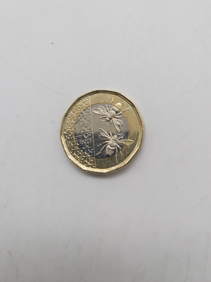 2023 KING CHARLES £1 Coin w/BEES - One Pound Uncirculated Coin (H11 ...