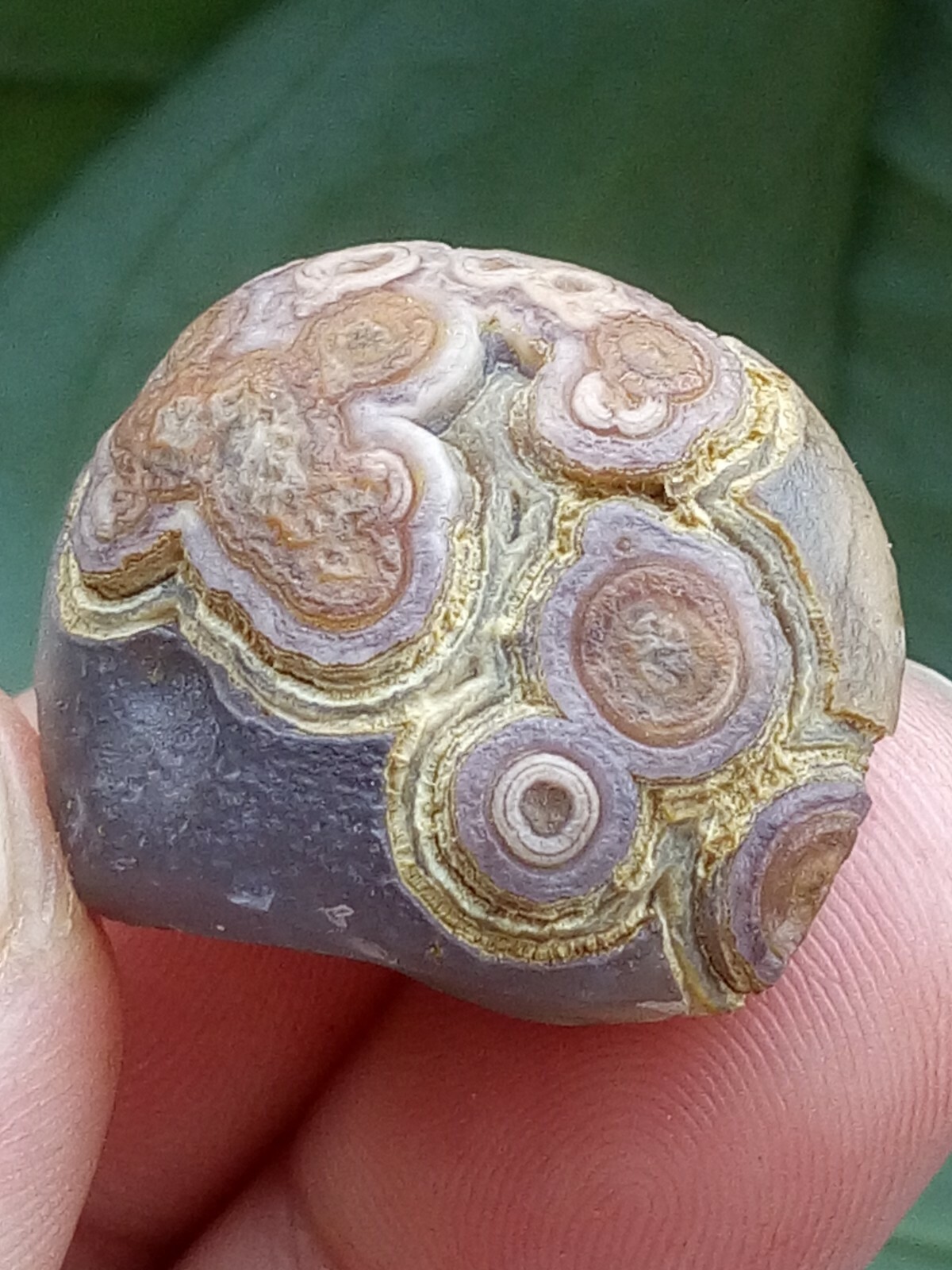 28mm Natural Gobi agate eye agate/stone Suiseki-viewing collection ...