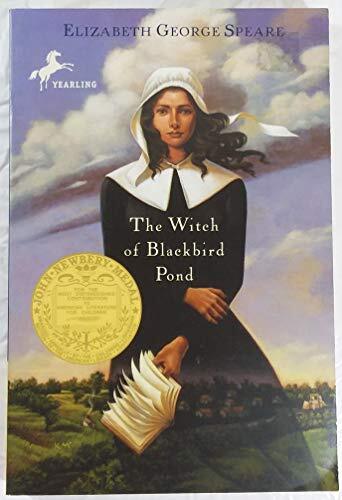 The Witch of Blackbird Pond | eBay