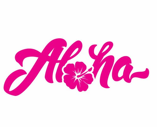 Aloha sticker decal with hibiscus flower | eBay