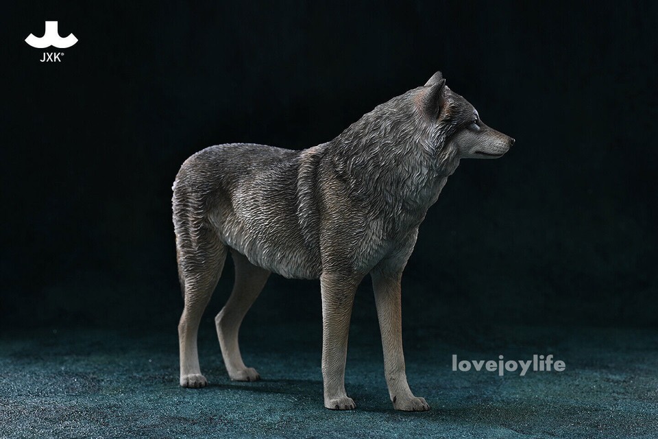 JXK 1/6 Arctic Wolf Model Canis Lupus Arctos Figure Wild Animal ...