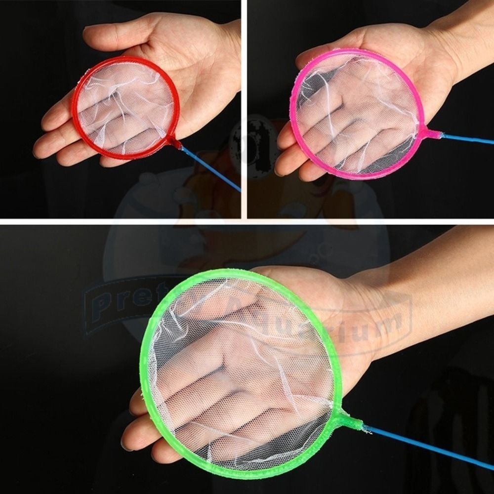Plastic Tiny Fish Tank Net Random Color Fine Net Mesh Skimming Net ...