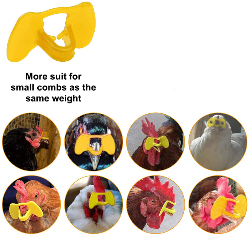 Chicken Glasses Poultry Blinders Chicken Spectacles Pheasant Anti ...