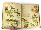 This Magic World Cynthia Koehler Wonder Books Vintage Childrens Book ...