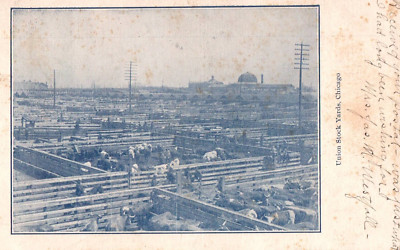 Union Stock Yards Chicago Vintage 1907 Postcard | eBay