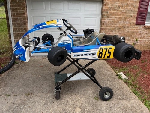 Ricciardo Kart with Iame KA 100 engine | eBay