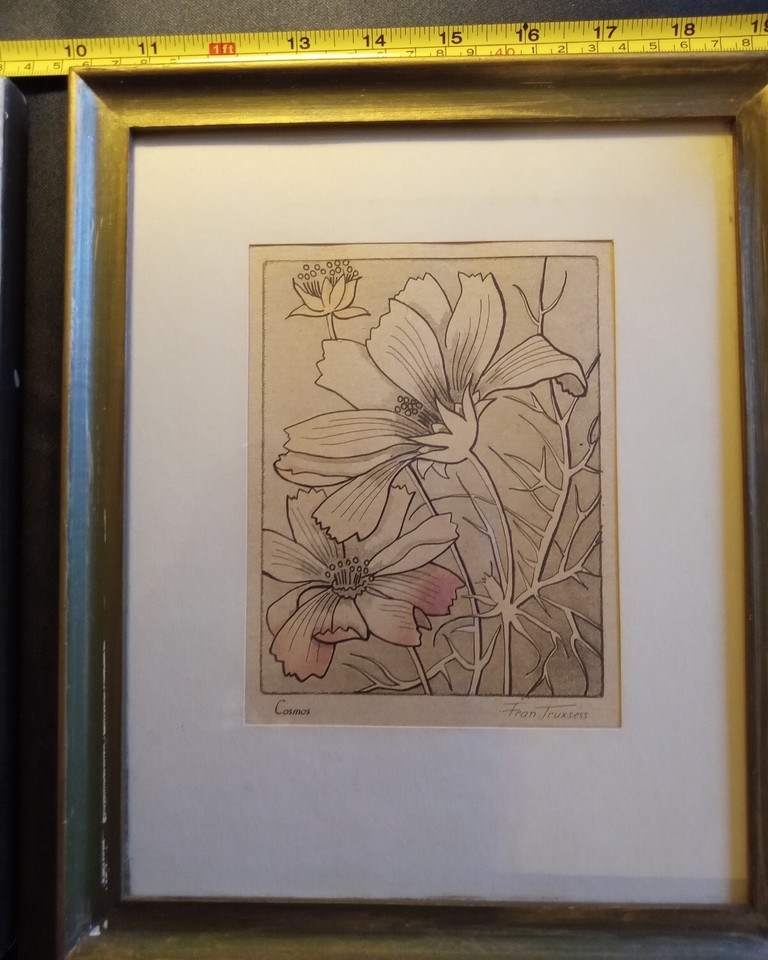 Vintage Fran Truxsess Prism Prints Matted & Framed COSMOS Prints Pair 9 ...