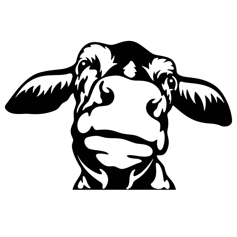 Peeking Cow Head Decal Car Tumbler Laptop Window Funny JDM Sticker 22 ...
