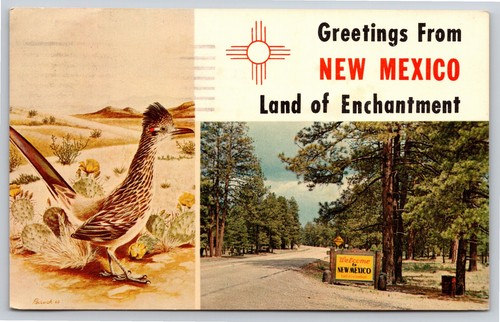Signs~Welcome to New Mexico & Road Runner Land of Enchantment~Vintage ...