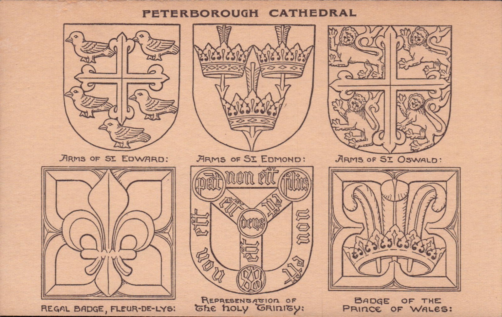 postcard - peterborough cathedral .finely carved tudor badges ( deanery ...