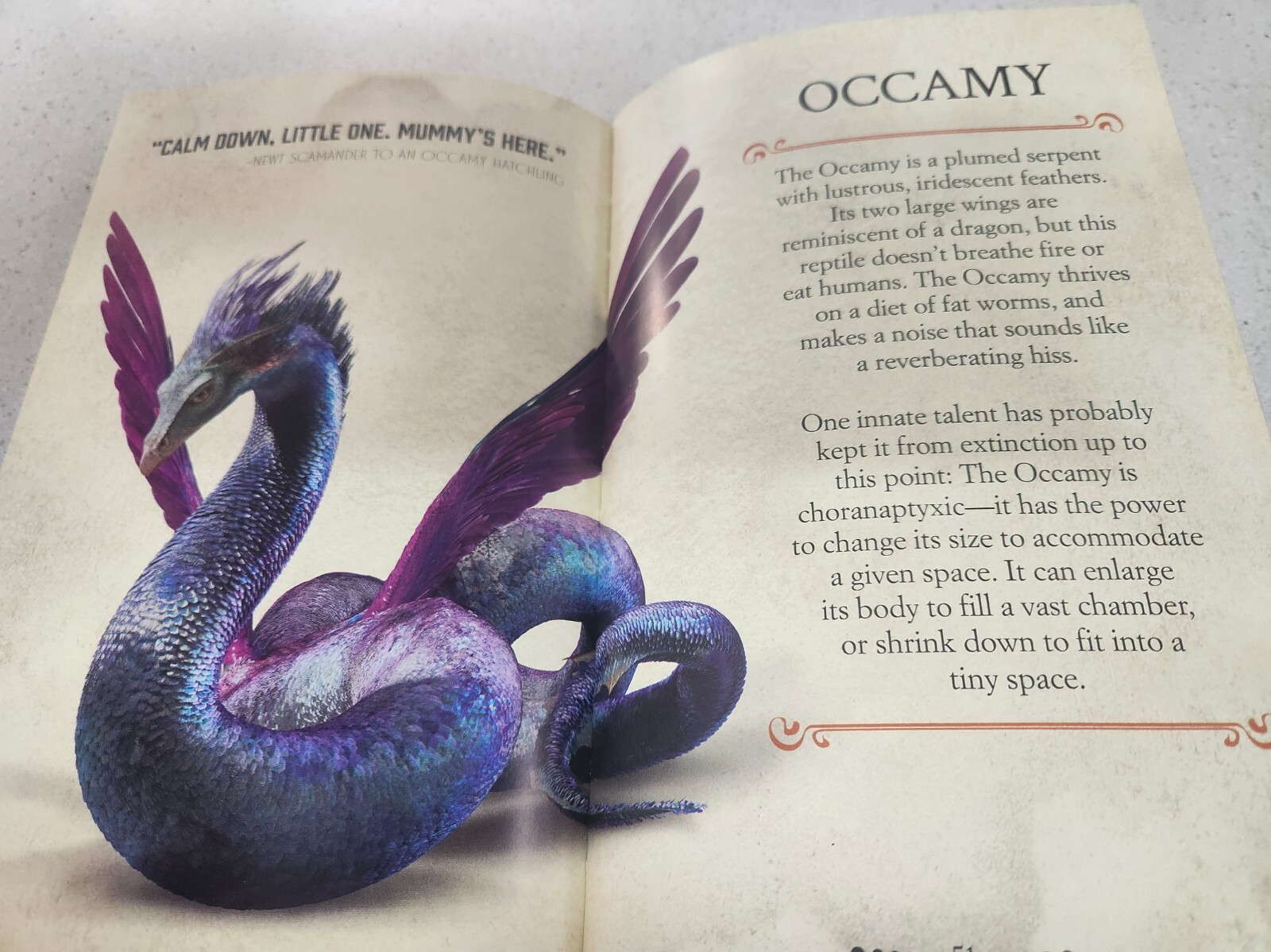 Fantastic Beasts and Where to Find Them: The Beasts Cinematic Guide ...