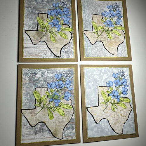 Texas Cards Handmade Folding Set Of 4 With Envelopes 4x5.5” Multi Media ...