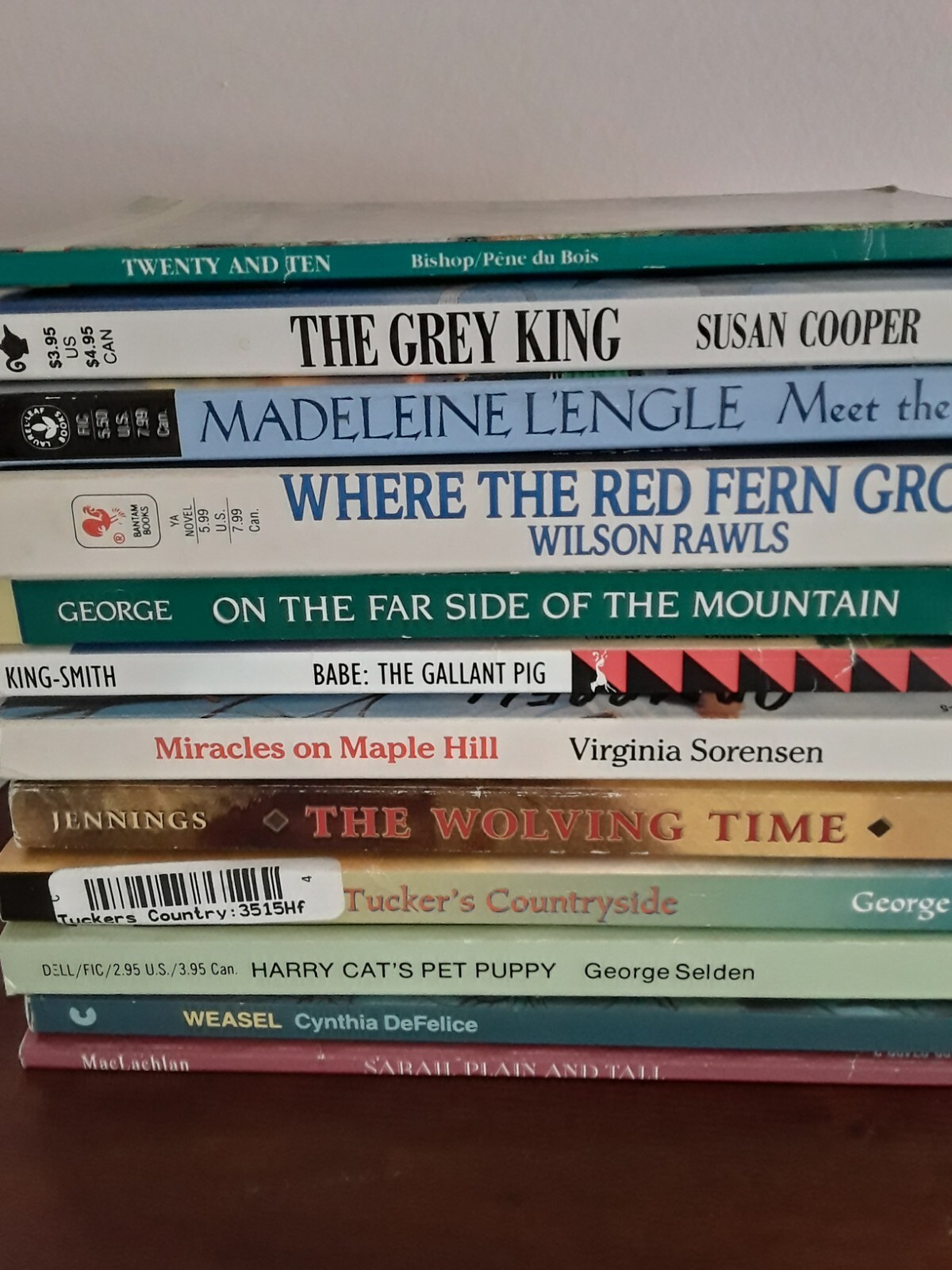 Lot of 12 Kids Chapter Books Age 7-12 Classics Sequels Classroom Use | eBay